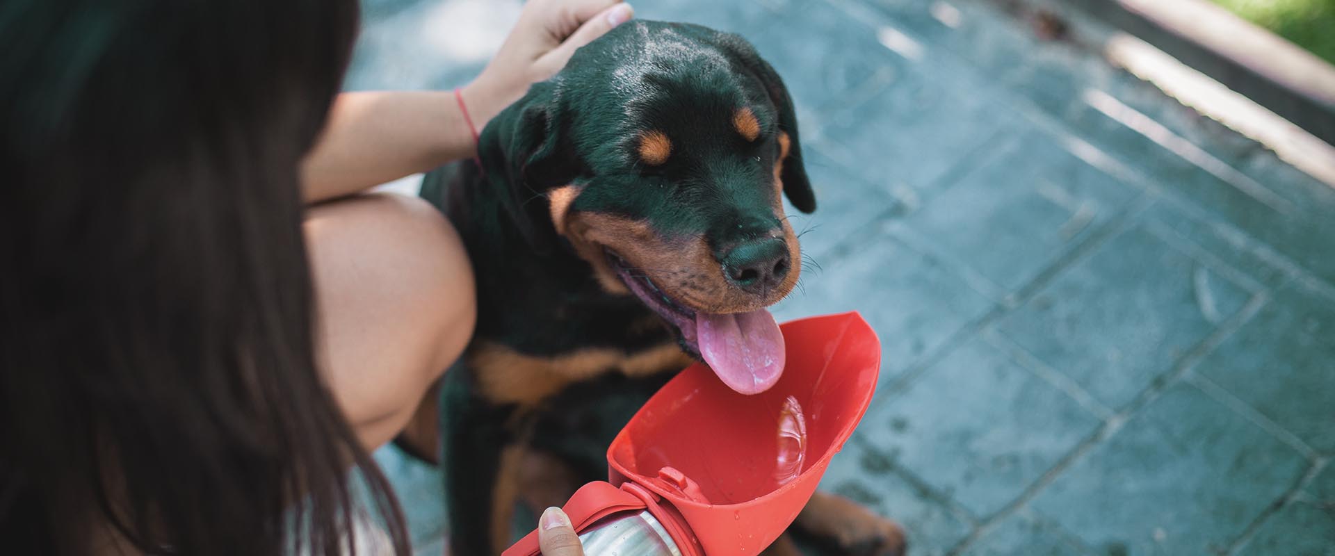 Tuff Pupper • PupFlask Collection