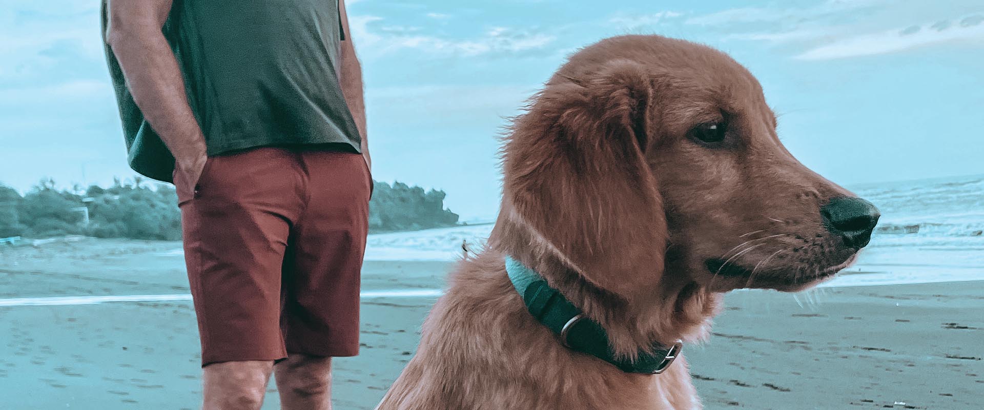 Tuff Pupper • Collars Collection