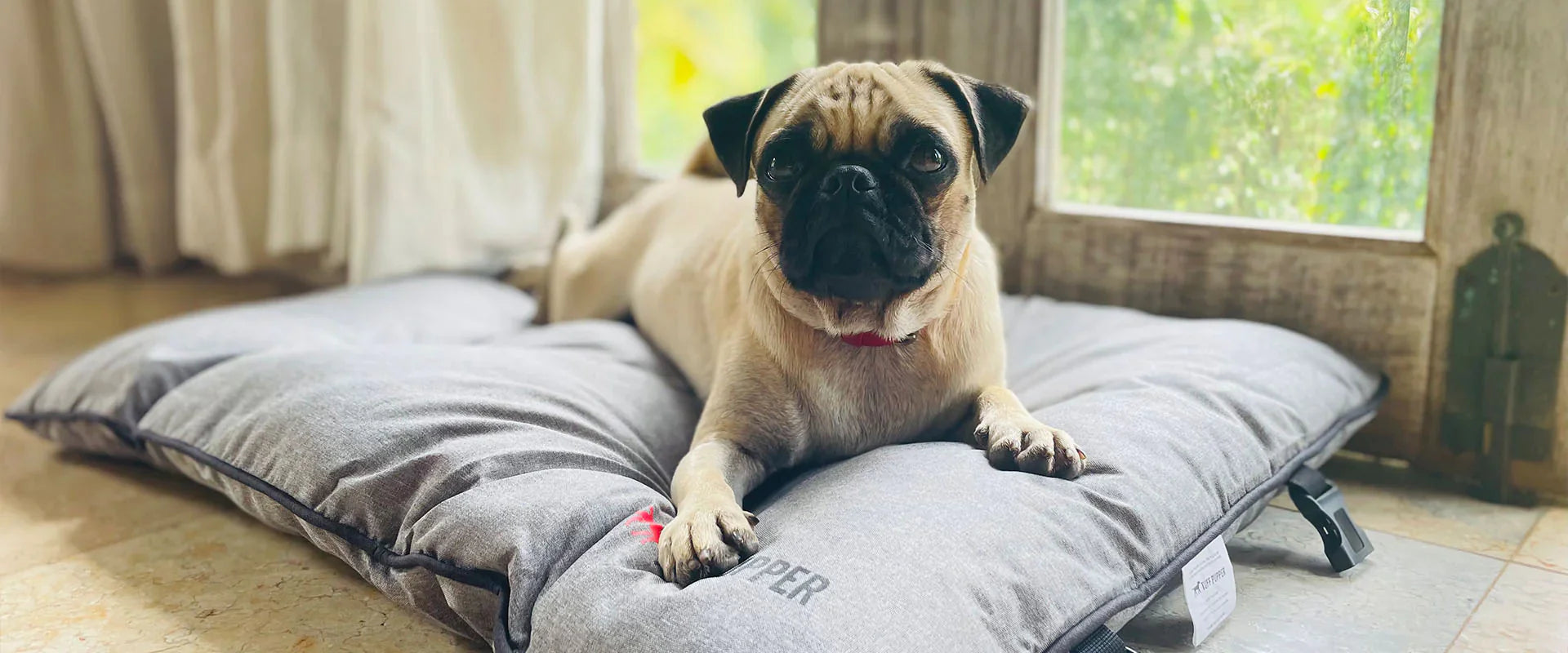 Tuff Pupper • Beds Collection