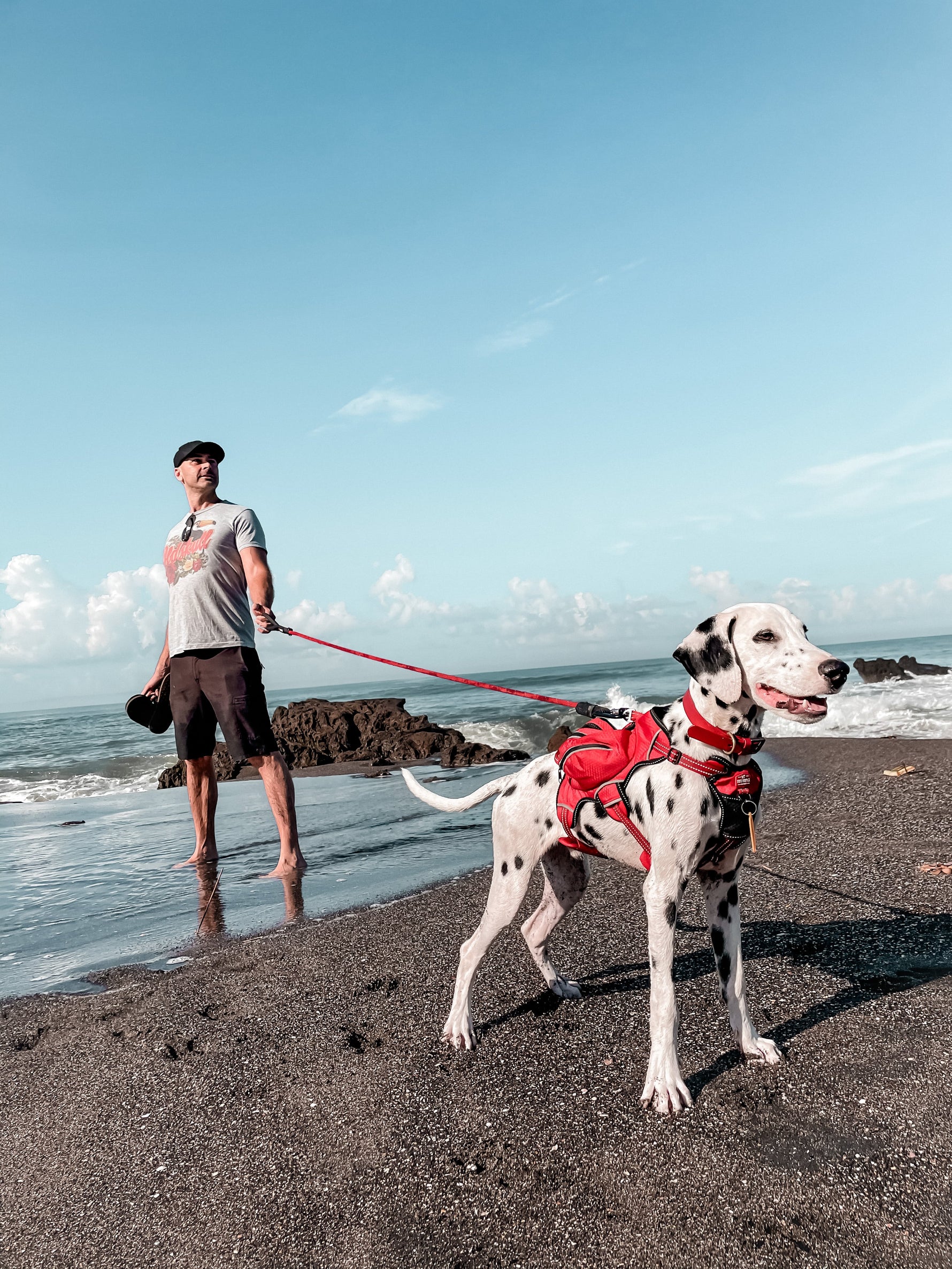 Tuff Pupper - Adventure Gear Dogs Love Anytime, Anywhere! – Tuff Pupper