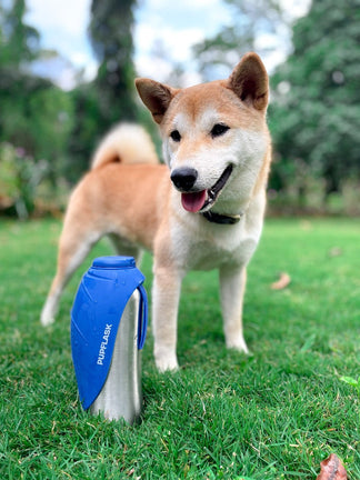 Tuff Pupper • PupFlask 27oz Bottle
