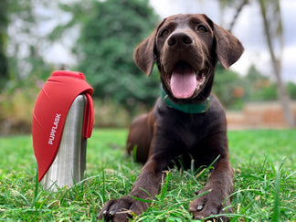 Tuff Pupper • PupFlask 27oz Bottle