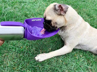 Tuff Pupper • PupFlask 27oz Bottle